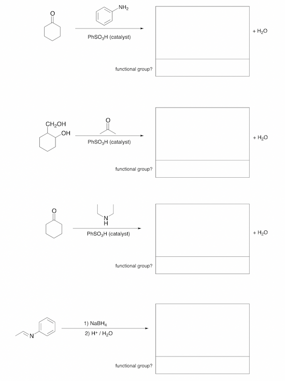 Solved NH2 Н.о PHSO3H (catalyst) functional group? CH-он OH | Chegg.com