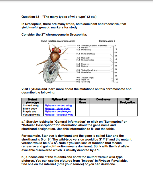 Question #3 - "The many types of wild-type" (2 pts) | Chegg.com