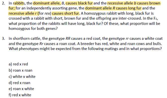 Solved 2. In rabbits, the dominant allele, B, causes black | Chegg.com