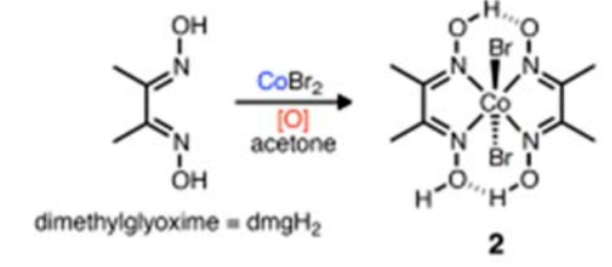 Solved In the following reaction, why is oxygen vigorously | Chegg.com