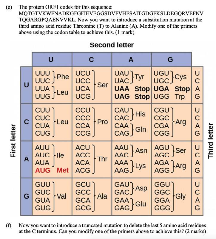 Solved (e) The protein ORF1 codes for this sequence: | Chegg.com