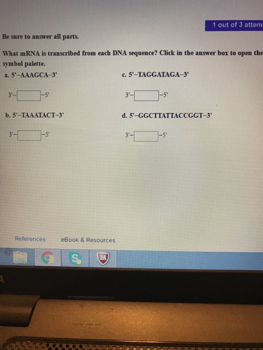 Solved What mRNA is transcribed from each DNA sequence? | Chegg.com