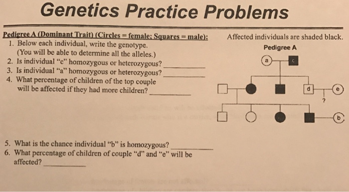 Solved Below each individual, write the genotype. (You will | Chegg.com