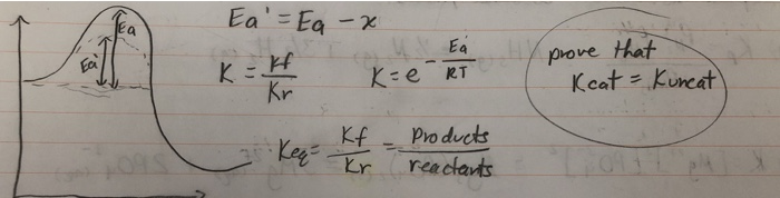Solved prove that Kcat (catalized) is equal to Kuncat | Chegg.com