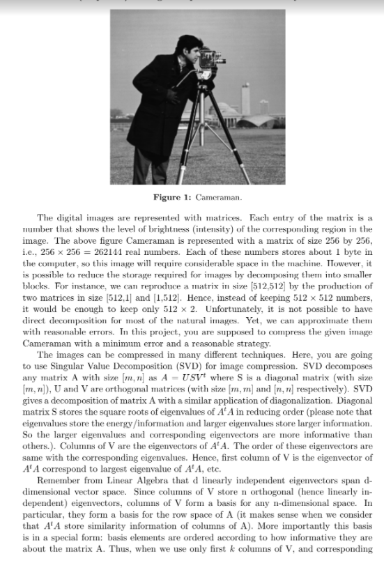 Solved Figure 1: Cameraman. The digital images are | Chegg.com