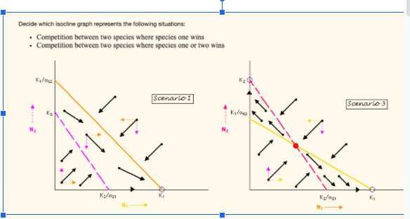 Solved Decide which isocline graph represents the following | Chegg.com