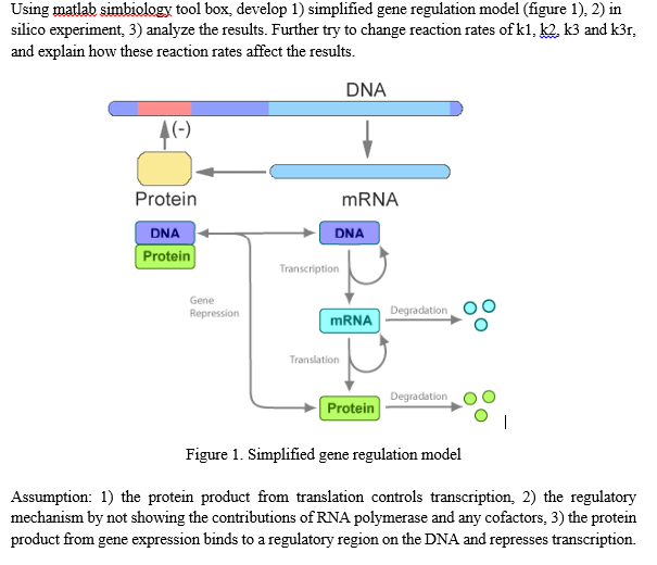 Using matlab simbiology tool box, develop 1) | Chegg.com