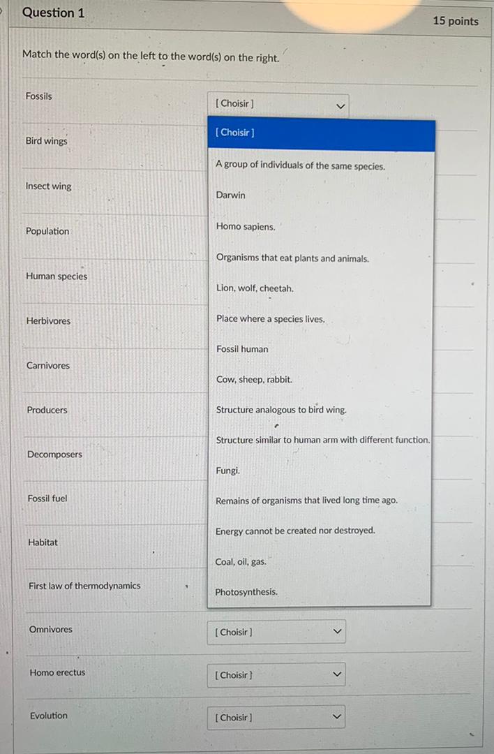 Solved Question 1 15 points Match the word(s) on the left to | Chegg.com