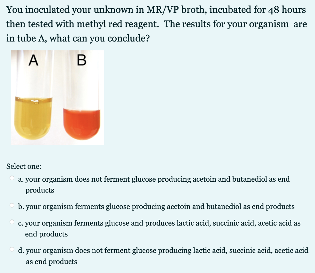 Solved You inoculated your unknown in MR/VP broth, incubated | Chegg.com