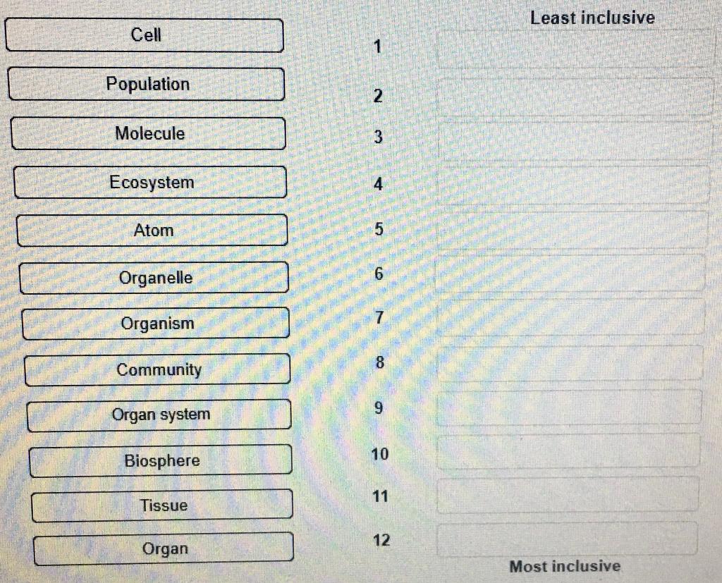 Solved Drag the provided terms on the left to the boxes on | Chegg.com