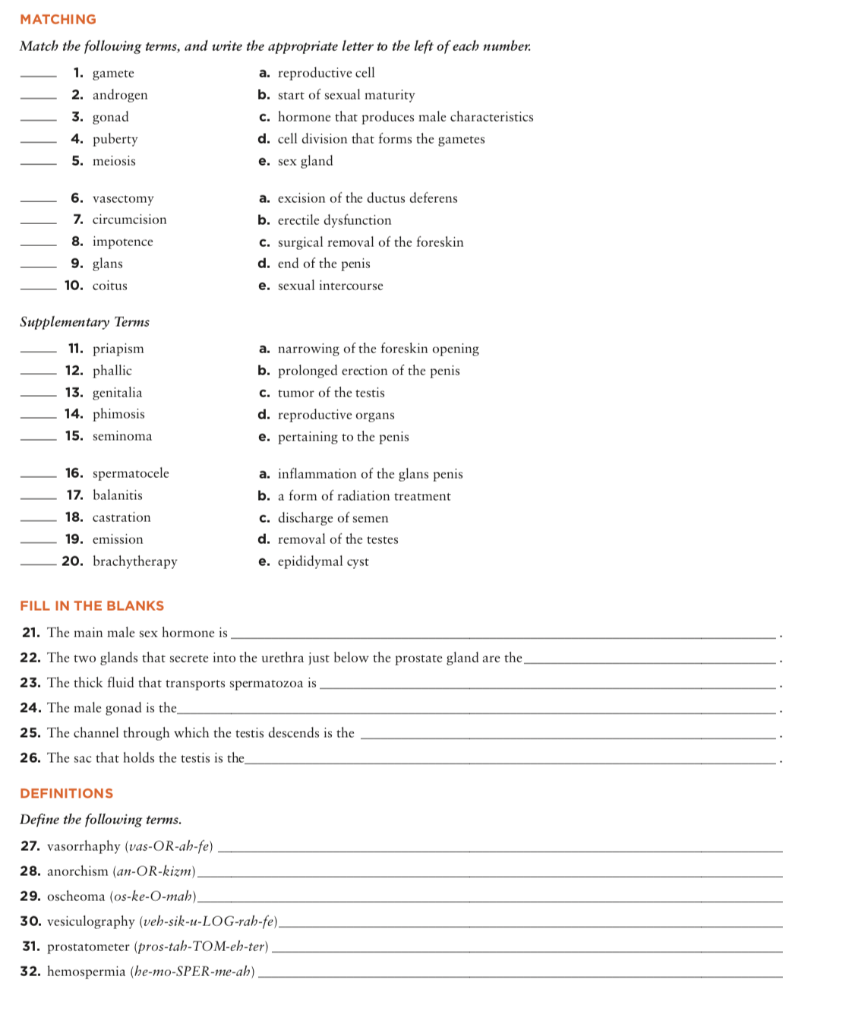 Solved MATCHING Match the following terms, and write the | Chegg.com