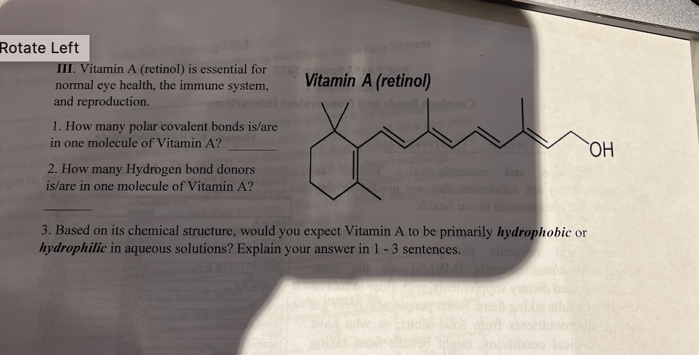 Solved III. Vitamin A (retinol) is essential for normal eye | Chegg.com
