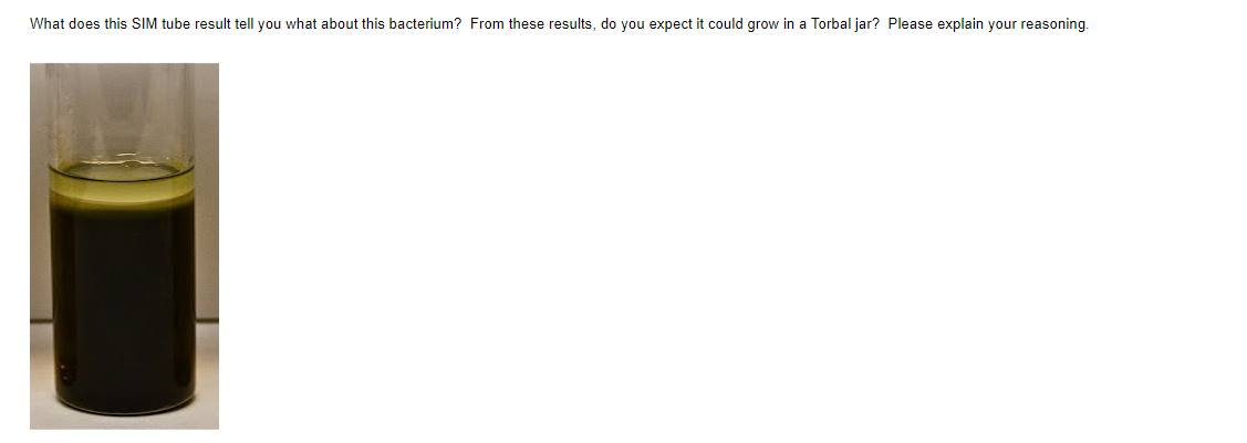 What does this SIM tube result tell you what about | Chegg.com
