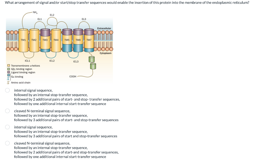 Solved internal signal sequence, followed by an internal | Chegg.com