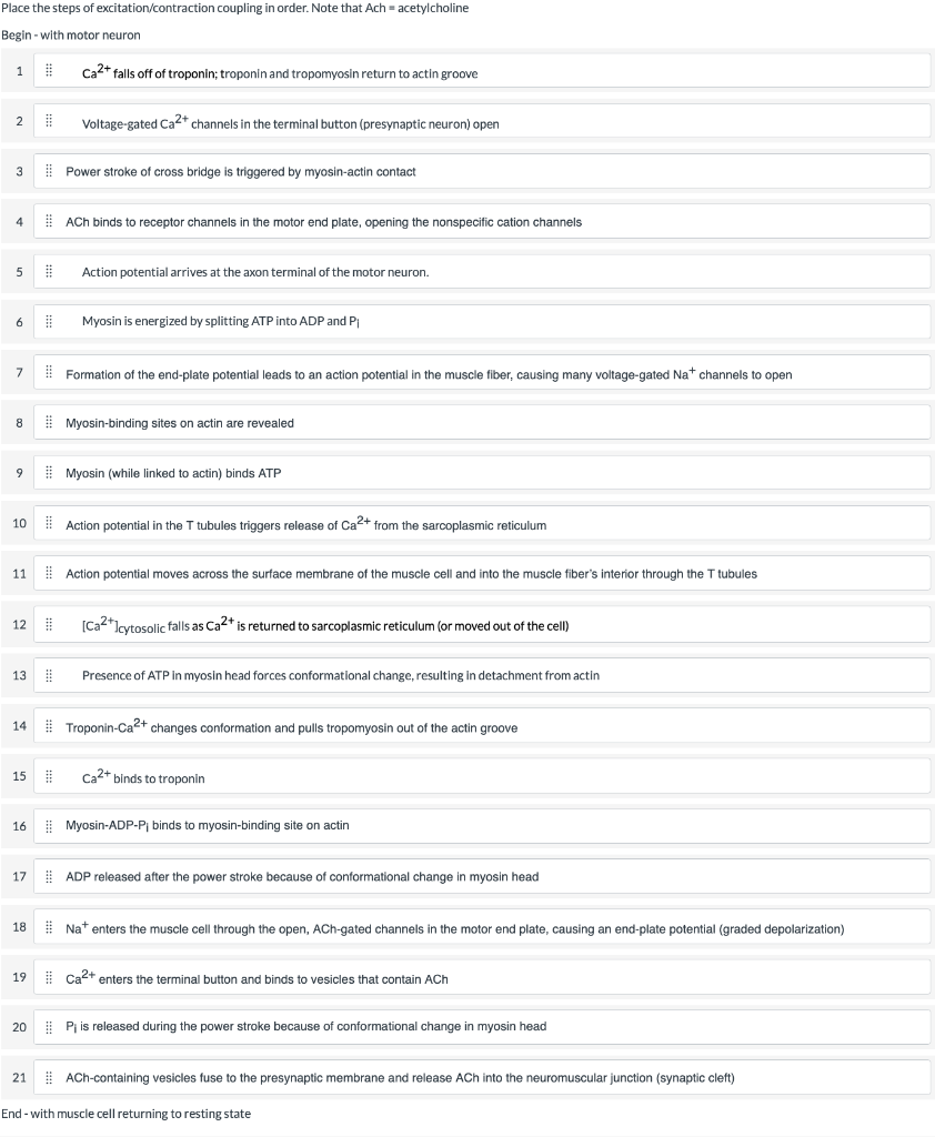 Solved Place the steps of excitation/contraction coupling in | Chegg.com