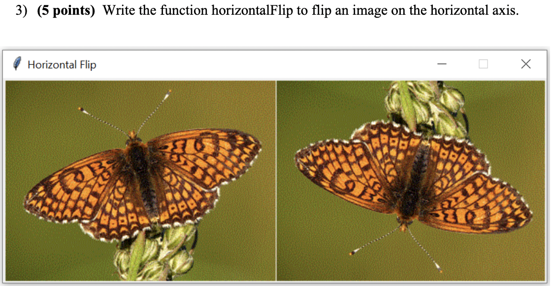 Solved 3) (5 points) Write the function horizontalFlip to | Chegg.com