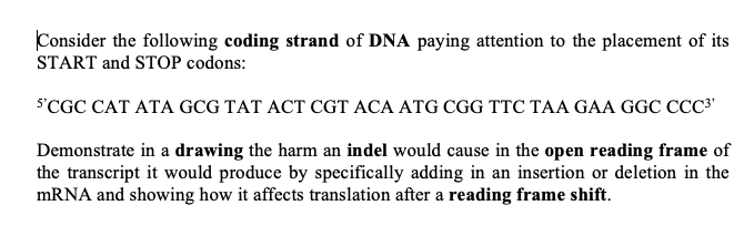 Solved Consider the following coding strand of DNA paying | Chegg.com