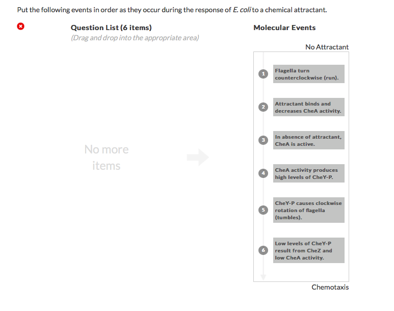 Solved Put the following events in order as they occur | Chegg.com
