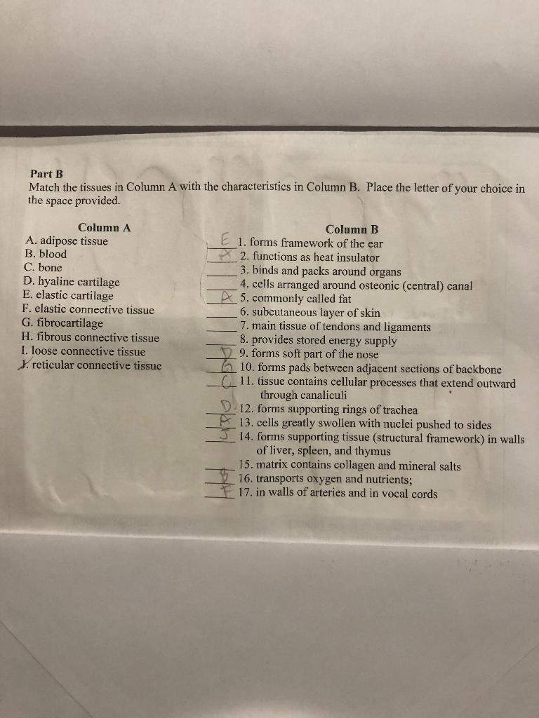 Solved Part B Match the tissues in Column A with the | Chegg.com