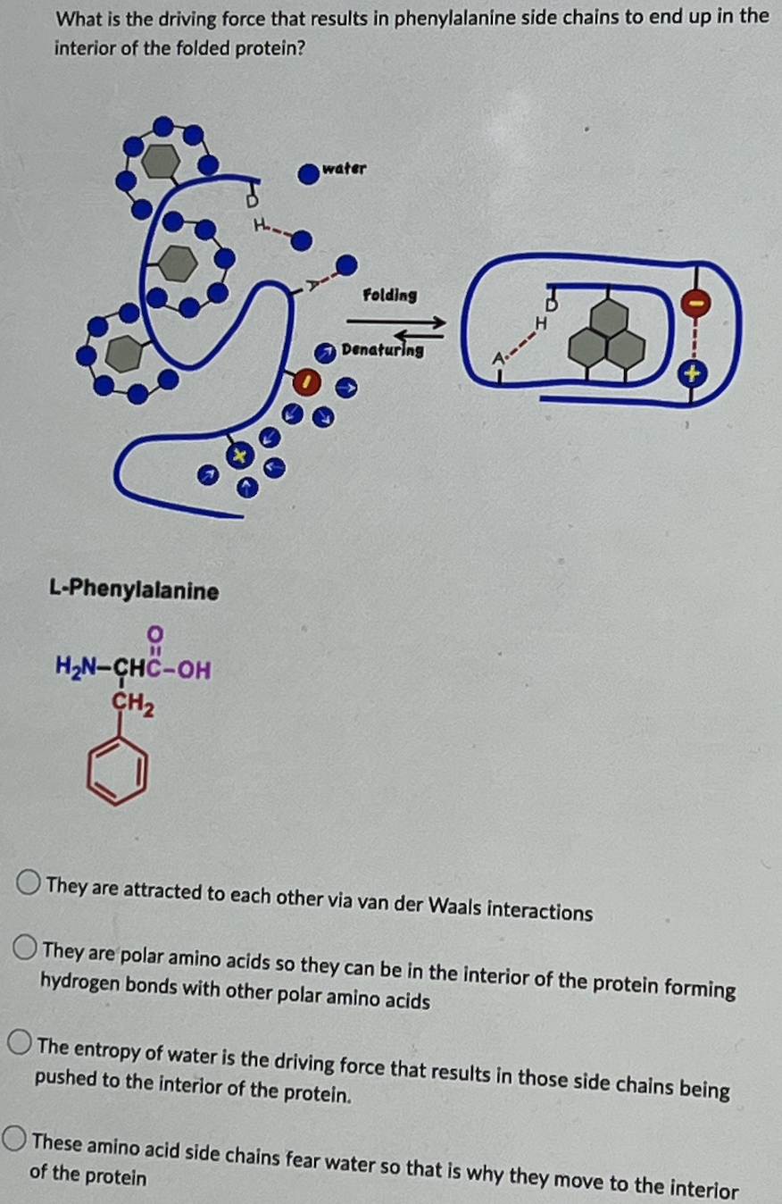 [Solved]: What is the driving force that results in phenyl