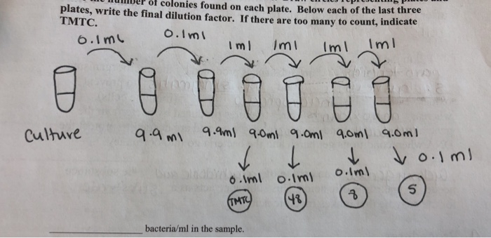 Solved plates, write the final dilution factor. If there are | Chegg.com