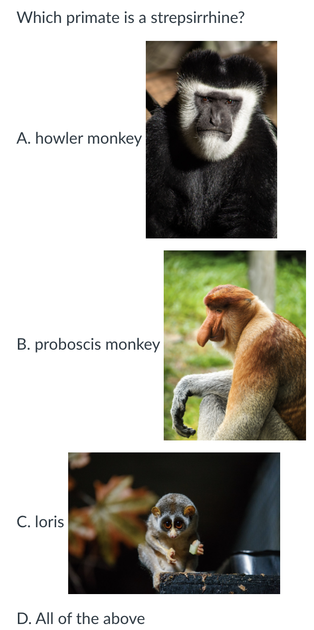 Solved Which of the following means leaf eater? O folivore | Chegg.com