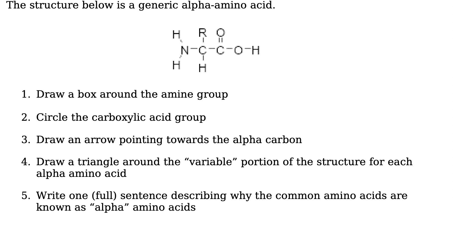 Solved The structure below is a generic alpha-amino acid. 1. | Chegg.com
