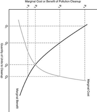 Solved n the above figure, the optimal level of pollution | Chegg.com