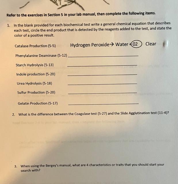 Solved Refer to the exercises in Section 5 in your lab | Chegg.com