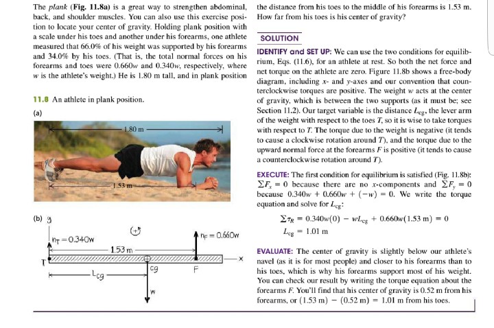 Solved The plank (Fig. 11.8a) is a great way to strengthen | Chegg.com