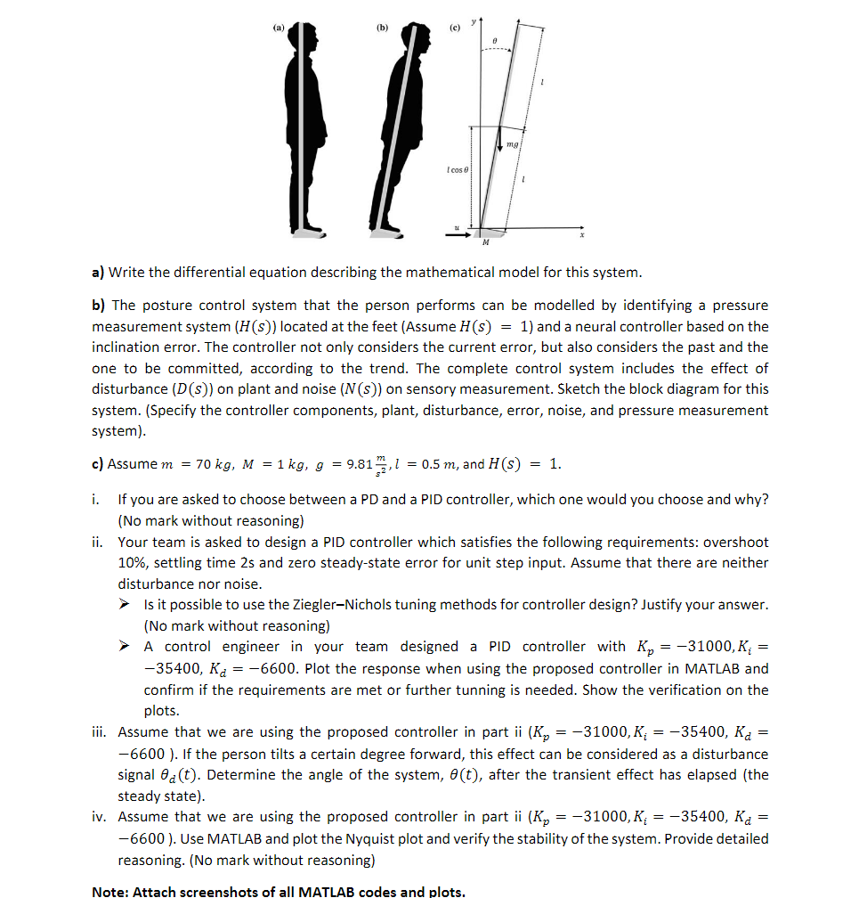 Solved The human bipedal posture is intrinsically unstable. | Chegg.com