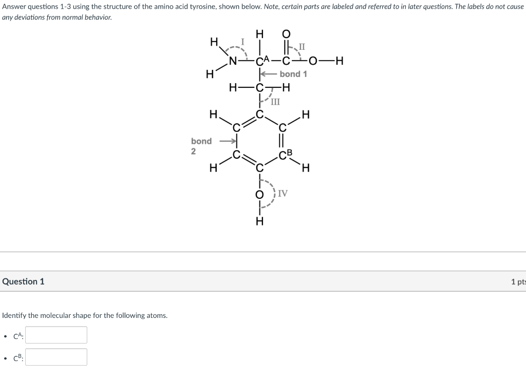 Solved Answer questions 1-3 using the structure of the amino | Chegg.com