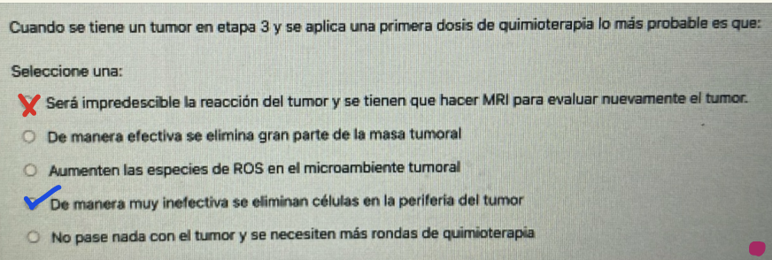 Solved The image shows a statement in Spanish followed by a | Chegg.com