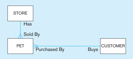 Solved Figure 1-21 shows an enterprise data model for a pet | Chegg.com