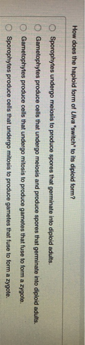 Solved Which of the following statements about Ulva's | Chegg.com