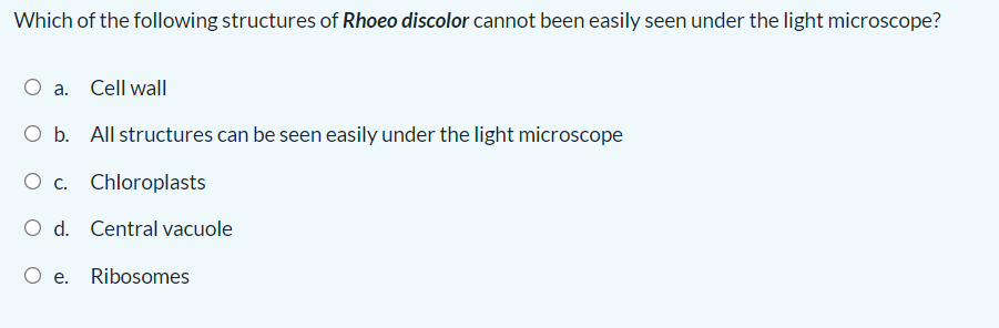 Solved Which of the following structures of Rhoeo discolor | Chegg.com