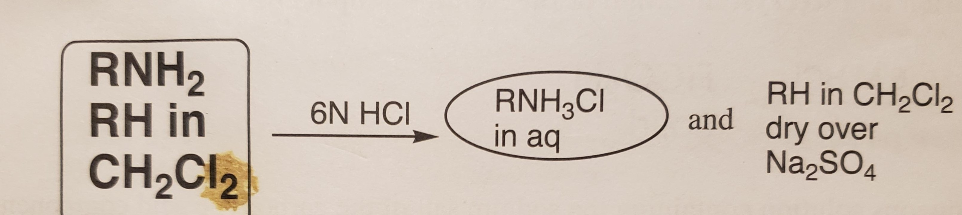 Solved 6N HCI ( RNH3CI) RNH, RH in CH2Cl2 in aq RH in CH2Cl2 | Chegg.com