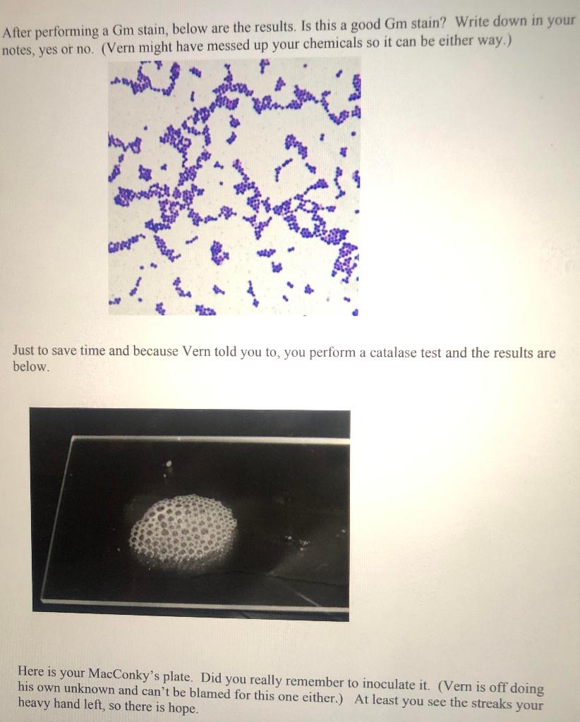 Solved Lab 15 Data You received the following sample in a | Chegg.com