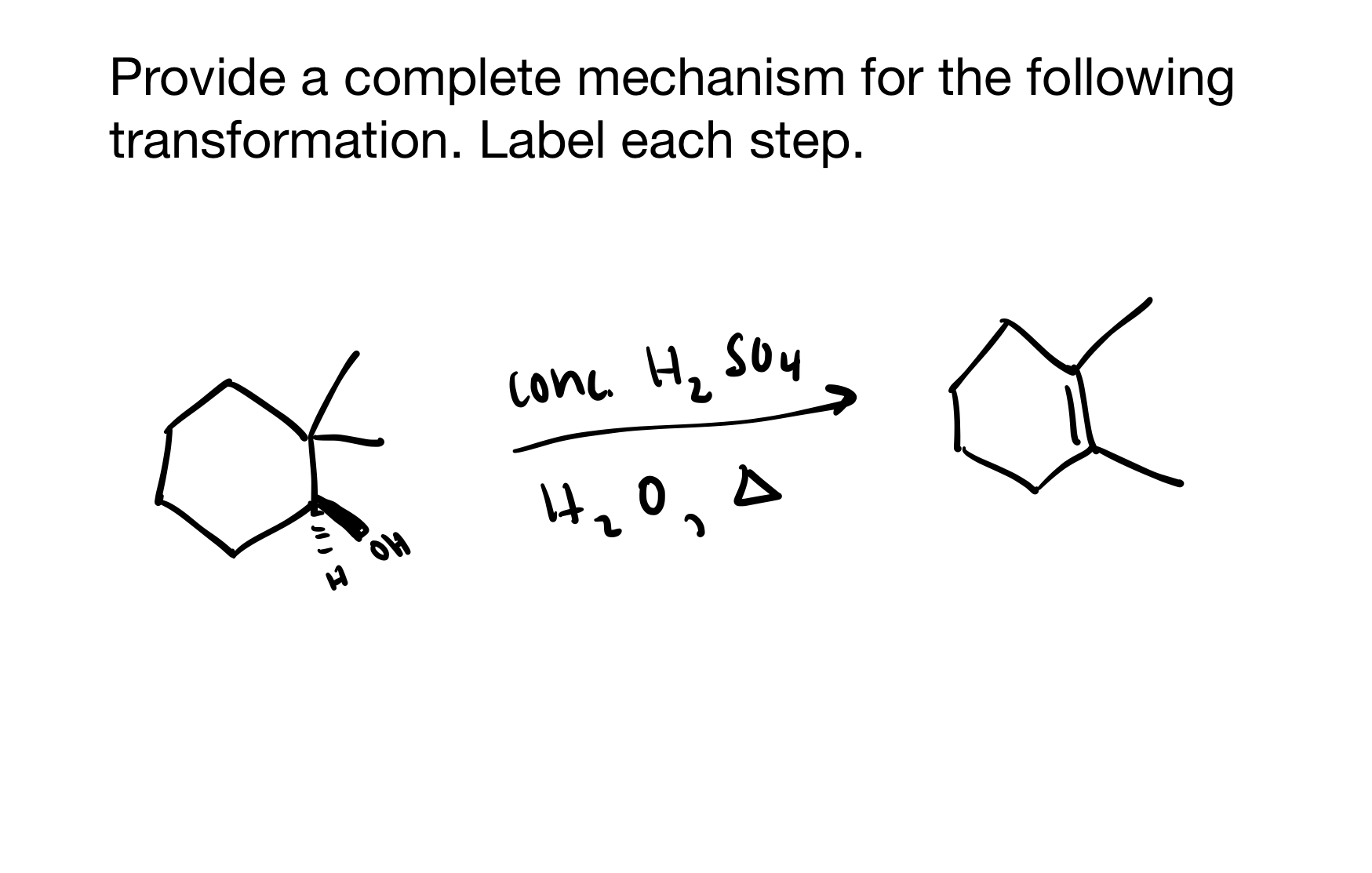Solved Provide a complete mechanism for the following | Chegg.com