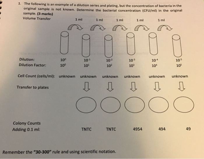 Solved 1. Th e following is an example of a dilution series | Chegg.com