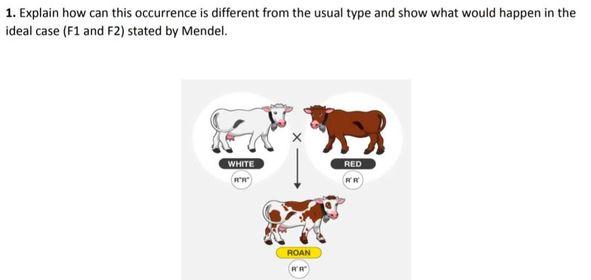 Solved 1. Explain how can this occurrence is different from | Chegg.com