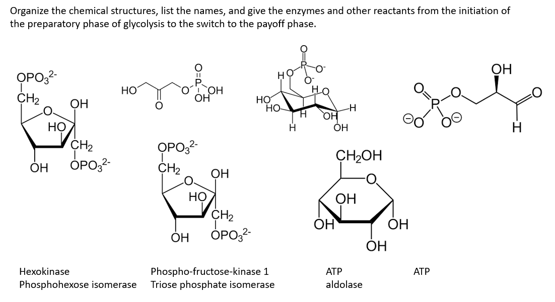 Organize the chemical structures, list the names, and | Chegg.com