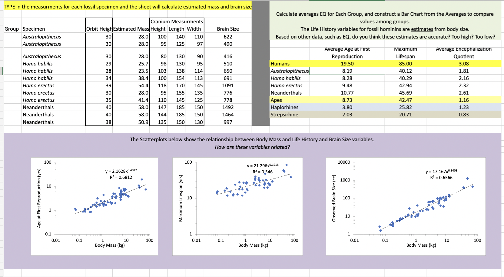 TYPE in the measurments for each fossil specimen and | Chegg.com