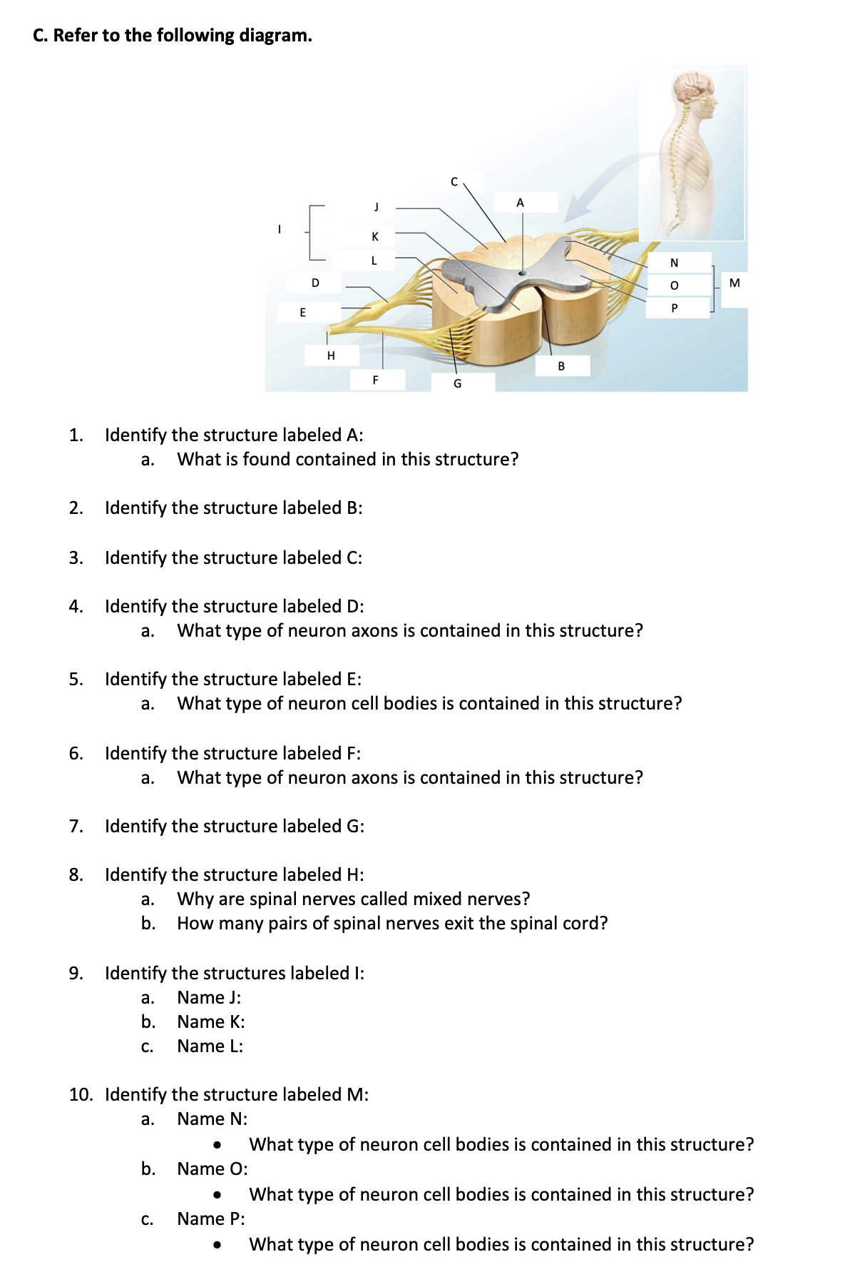 C. Refer to the following diagram. 1. Identify the | Chegg.com