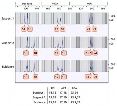 Look up the sequence of the FGA repeat. Give the | Chegg.com