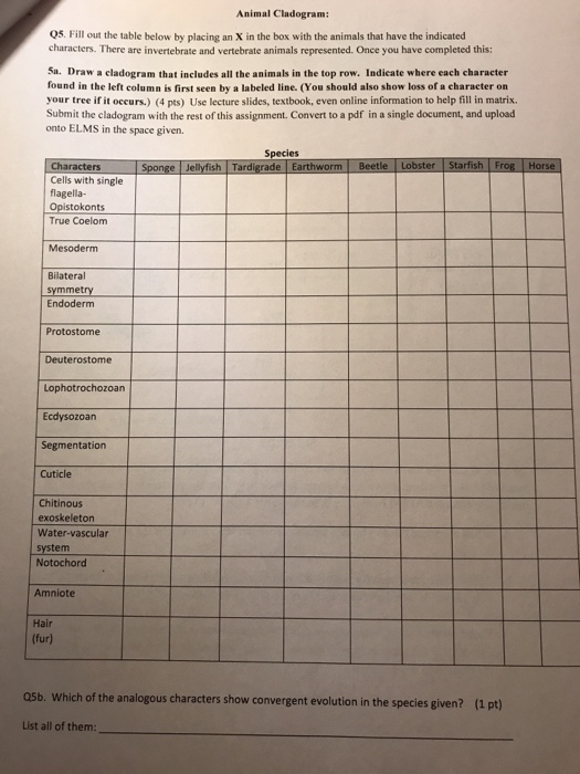 Solved Animal Cladogram: 05. Fill out the table below by | Chegg.com