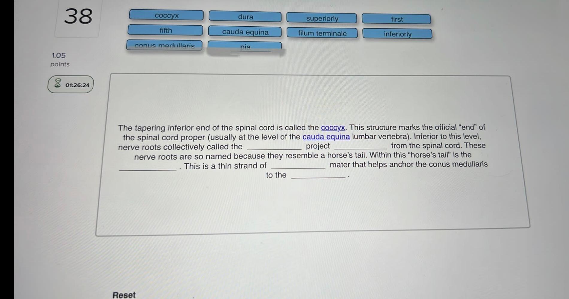 Solved The tapering inferior end of the spinal cord is | Chegg.com
