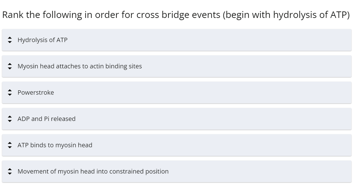 Solved Rank the following in order for cross bridge events | Chegg.com
