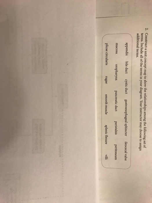 Solved 2. Construct a unit concept map to show the | Chegg.com