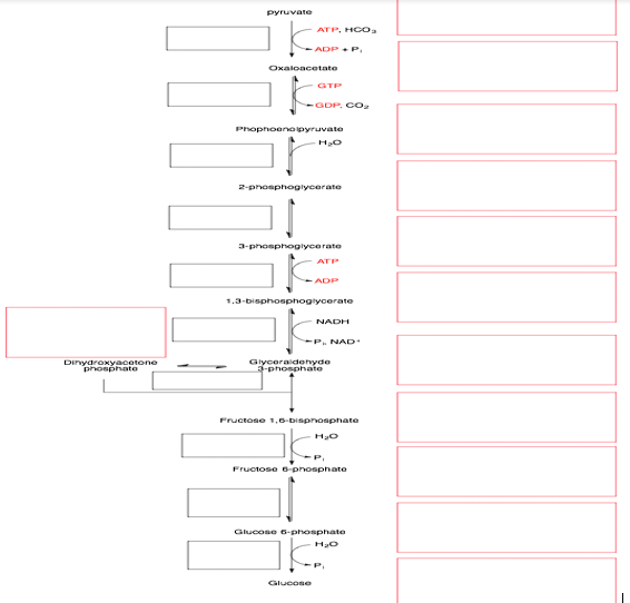 Solved Basic Concepts Worksheet 4.2 Description: | Chegg.com